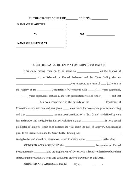 Order Probation Sample Doc Template Pdffiller