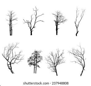Naked Twig Images Stock Photos D Objects Vectors Shutterstock