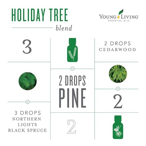 Holiday Tree Blend Northern Lights Black Spruce Pine And Cedarwood Essential Oil Blends