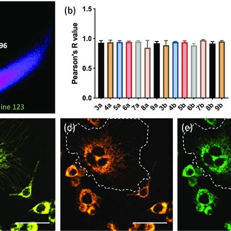 A Fluorescence Intensity Correlation Plot Of D And E B Diagrams Of