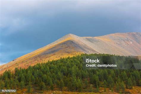 햇볕이 잘 드는 높은 산 꼭대기와 하늘의 비오는 구름 아래 햇빛 아래 생생한 경사면에 침엽수 림이있는 극적인 잡다한 가을 풍경 변화하는 날씨에 산에서 경치 좋은 퇴색하는