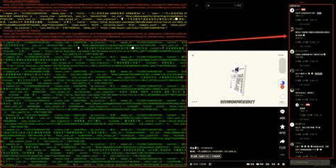 Vue项目启动白屏问题我来拯救你 ByteZoneX社区