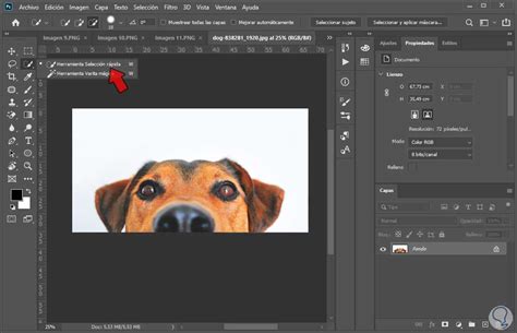 Como Poner Transparente El Fondo De Una Imagen En Word IMAGESEE
