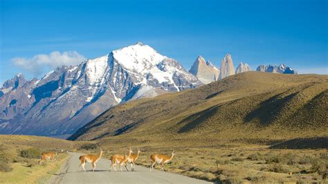 Magallanes Y Antartica Chilena Cl Vacation Rentals House Rentals