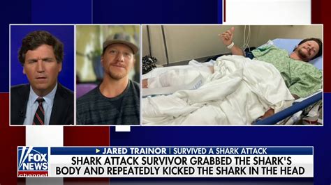 California Man Recounts Great White Shark Attack Fox News Video