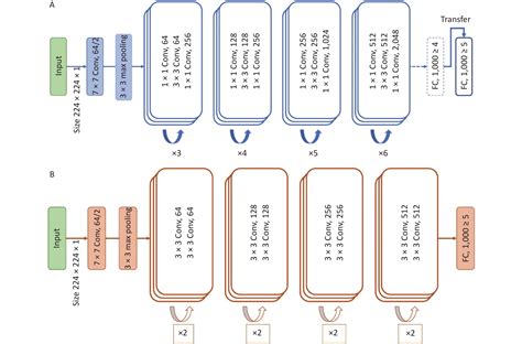 Automated Classification Of Inherited Retinal Diseases In Optical Coherence Tomography Images