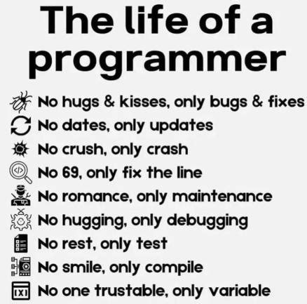 Life of a programmer : r/ProgrammerHumor