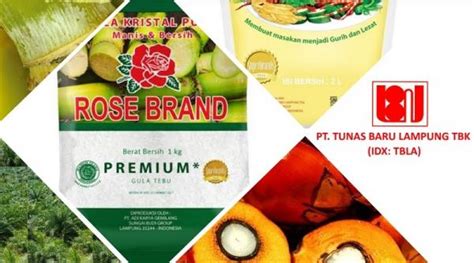 Tunas Baru Lampung Tbla Right Issue 753 Juta Saham Cek Jadwalnya