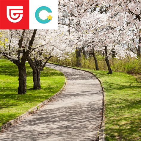 триглавзеленалига Triglav Osiguruvanje Ad