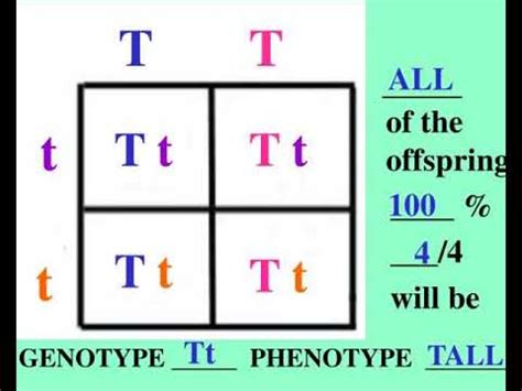 O T T F F S S E YouTube