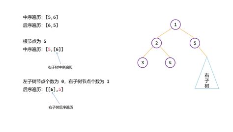 数据结构 根据前中后序遍历中的两种构造二叉树 Marisamagic 博客园