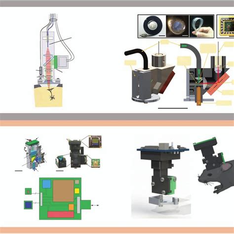 Miniaturized Head Mounted Microscopes A Miniature Two Photon