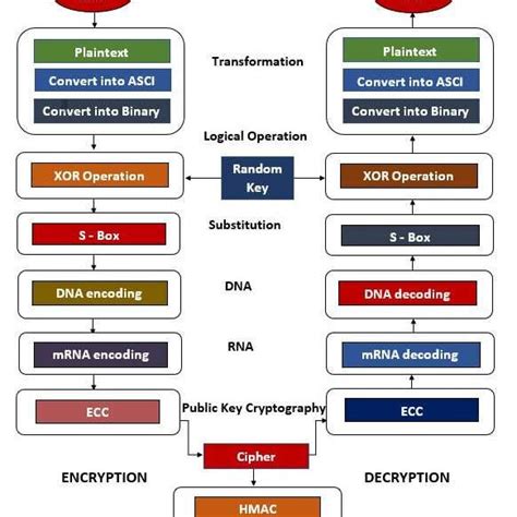 Proposed Technique Flowchart Download Scientific Diagram