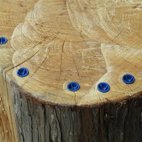 Ecoplug Max Tree Stump Killer Drill Bit Total Weed Control Green Tech