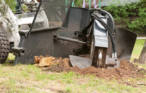 Tree Stump Removal Methods And Reasons To Get Rid Of Stumps Tree Service Los Angeles