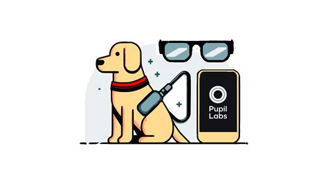 Alpha Lab Home Pupil Labs Docs