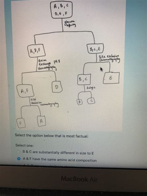 Solved A B C D E F B C E Adf Site Excasion Chegg Com