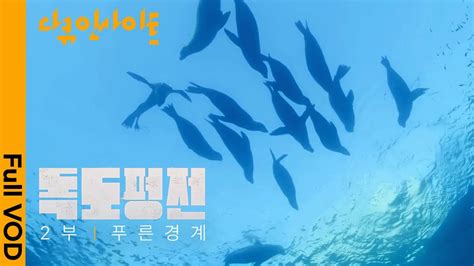 100년 전 독도는 강치의 땅이었다 독도강치 멸종 독도에 새겨진 상흔의 역사 2부 푸른 경계 Kbs 50주년 특별기획 독도평전 Kbs 20231207 방송