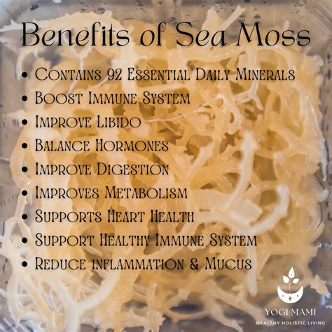 Benefits Of Sea Moss Yogi Mami Victoria Moore