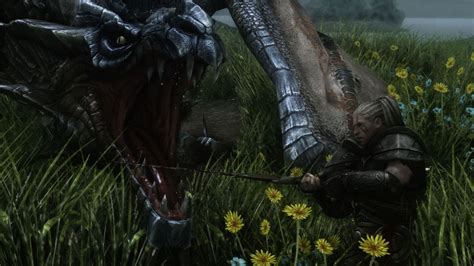 Dragonslayer Member Gallery Tes Alliance