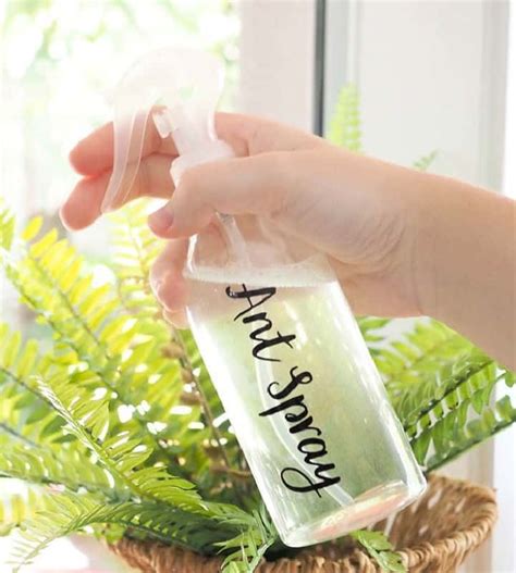 25 Homemade Diy Ant Killer Recipes Solar Living Savvy