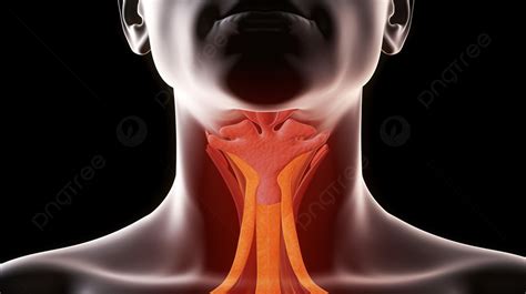 Thyroid Pain Background Ug Thyroid Pain Background Symptoms Picture