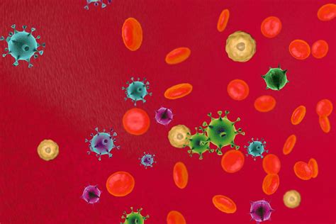 败血病能治好吗败血症严重吗能治好吗 能源网