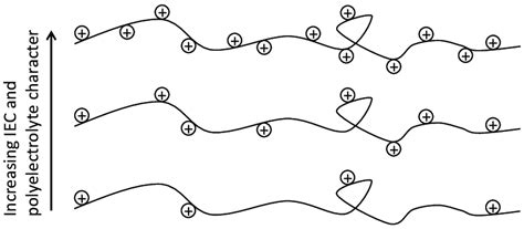 4 Schematic Depiction Of Polycations Without Counter Ions Or Solvent Download Scientific