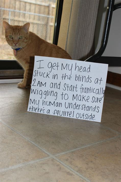 Every Single Night Imgur