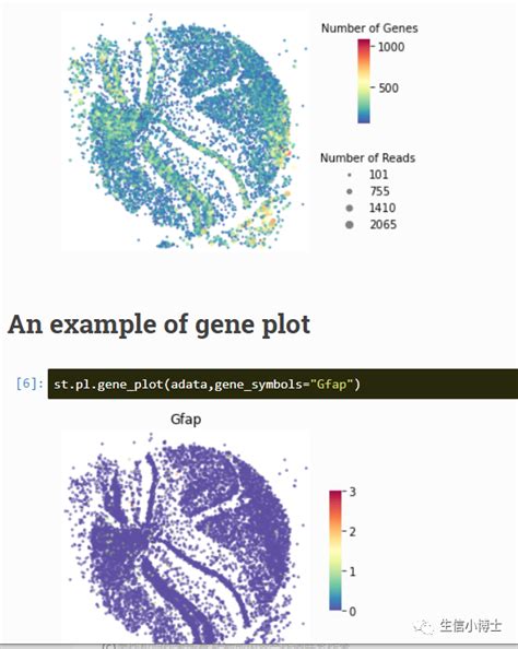R、python读取空间转录组的8种方式空转多样本整合r代码 Csdn博客
