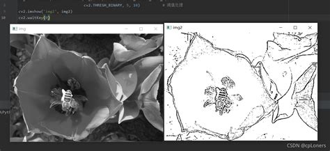 5opencv——图像变换3（阈值处理 二值化，反二值化，截断阈值处理，超阈值零，低阈值零处理，otsu算法，三角算法）opencv 二值
