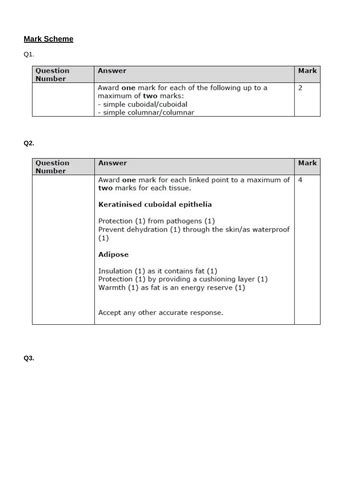 Unit 3 Aandp Handsc Mini Mocks Teaching Resources