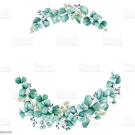 유칼립투스 가지와 열매의 수채화 화환 초대장 카드 축하 로고 라벨 문구류의 디자인을 위한 식물 삽화 결혼식 기념일 생일 디자인 결혼식에 대한 스톡 벡터 아트 및 기타 이미지