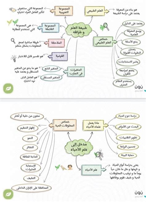Arabic And English Language Diagrams