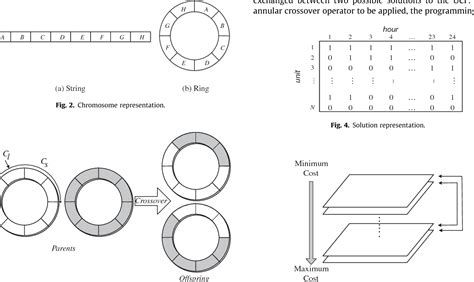figure 4 from a deterministic annular crossover genetic algorithm