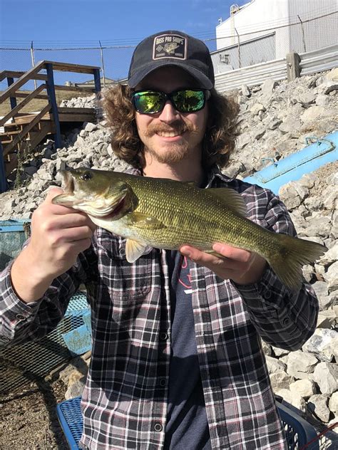 Caught A Few Different Kinds Of Bass Today Not Sure If The First One