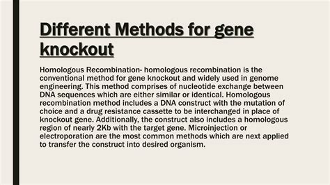 Gene Knockout Pptx