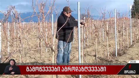 გამოწვევები აგროდაზღვევაში 1tv