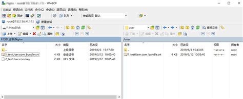 Windows 系统通过 Winscp 上传文件到 Linux 云服务器winscp上传文件 Csdn博客