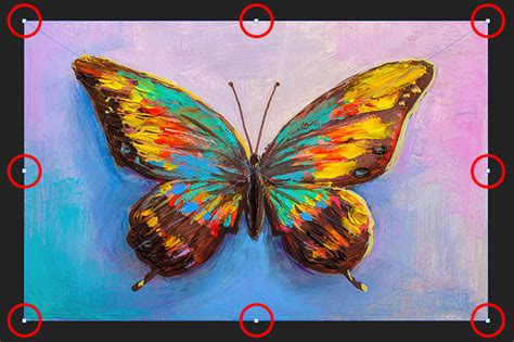 How To Use Free Transform In Photoshop