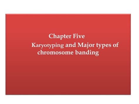 Chromosome Banding Pattern Dr Sonia Pdf