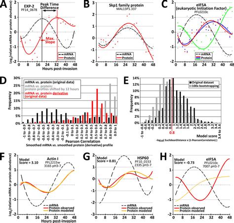 Transcript And Protein Abundance Tk4profiles Transcript Protein