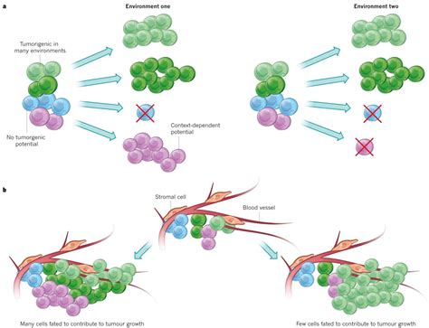 Heterogeneous Examples In Nature Science And Culture