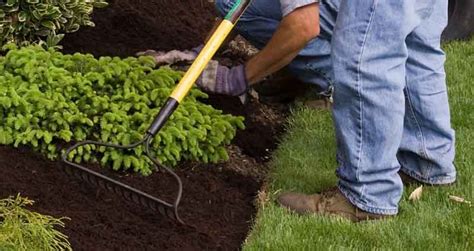 How To Add Compost To Soil The RIGHT Way