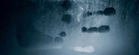 The Use Of Artificial Intelligence In Modern Forensic Science Gemserv