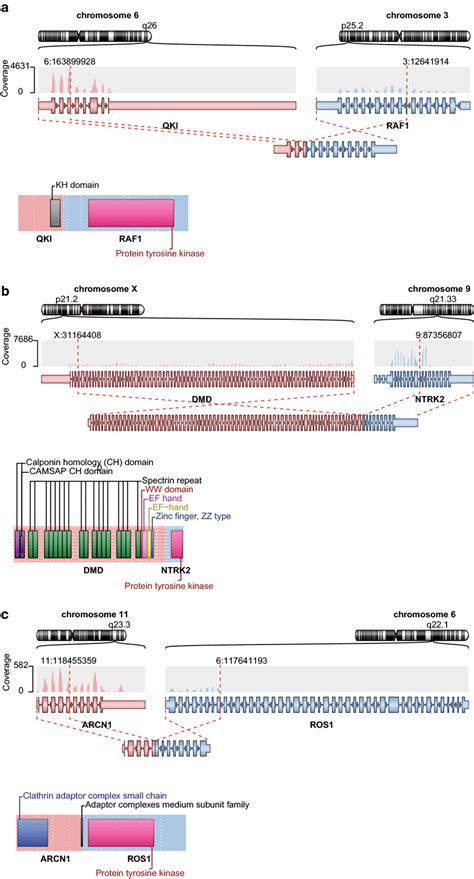 Representative Cases Illustration Of Exact Fusion Configuration Of