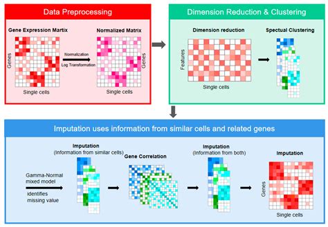 sccgimpute an imputation method for single cell rna sequencing data