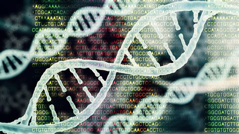 How Are Different Types Of Sanfilippo Syndrome Inherited