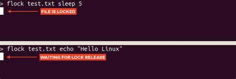 Flock Command In Unix