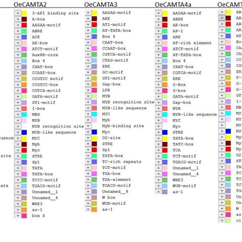 Cis Acting Elements Found In Olive Camta Gene Promoter Regions